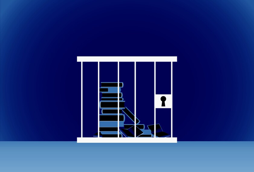 Who's Behind the Escalating Push to Ban Books? A New Report Has Answers