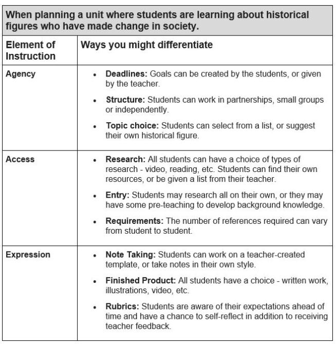 What Does Successful Differentiated Instruction Look Like in the ...